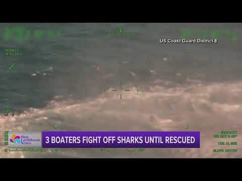 3 Boaters Fight off Sharks until Rescued | One Caribbean Television