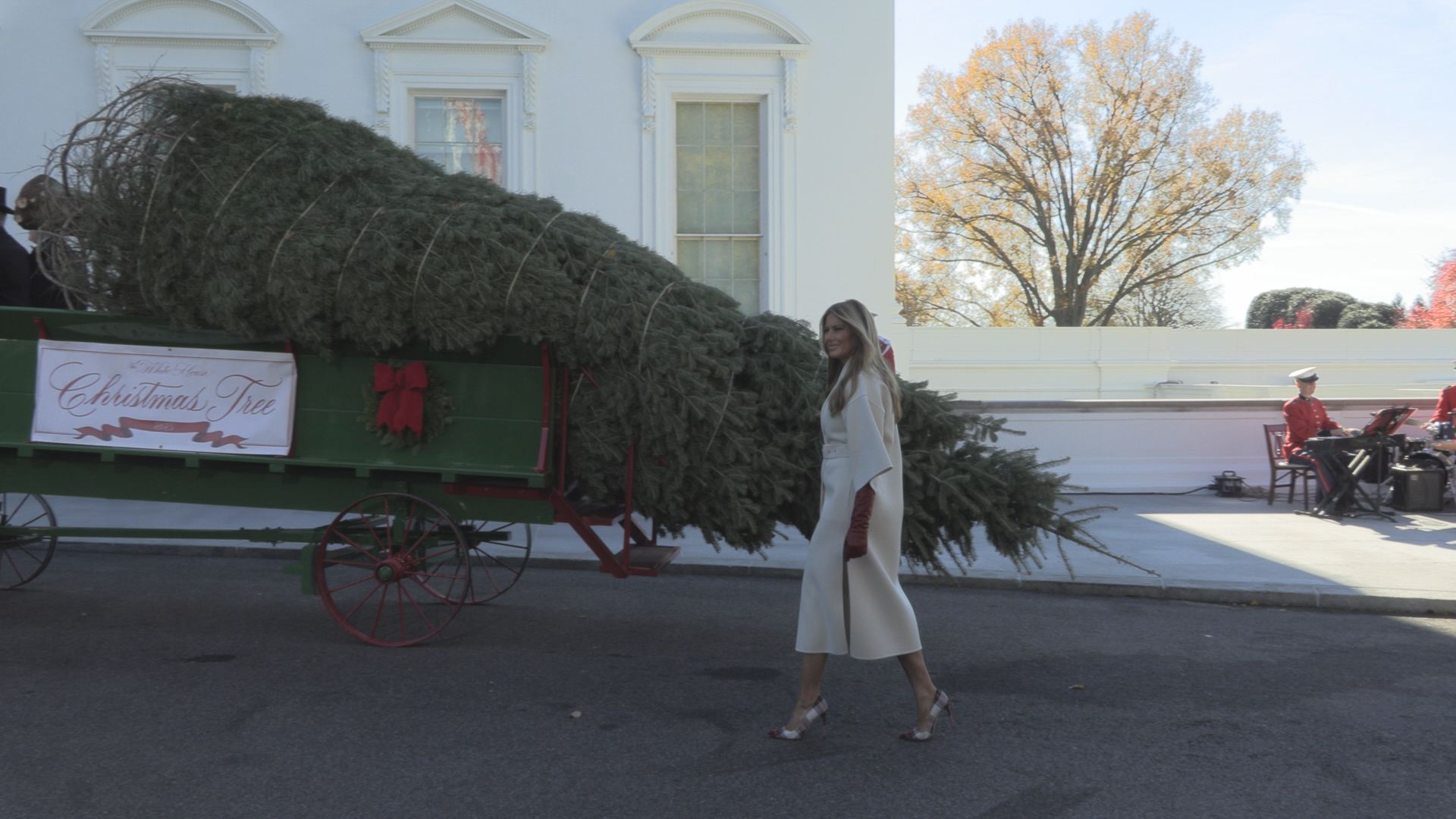 White House Christmas Tree Arrives | One Caribbean Television